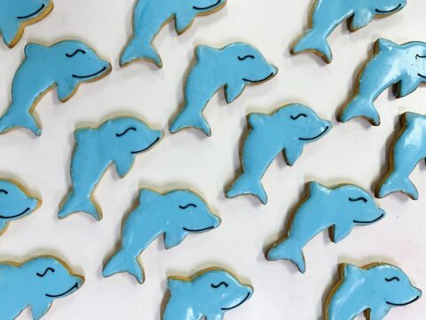 Beach & Nautical Cookies – Cinotti's Bakery